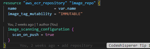 Create infrastructure to host an Amazon ECS Service using Terraform ...